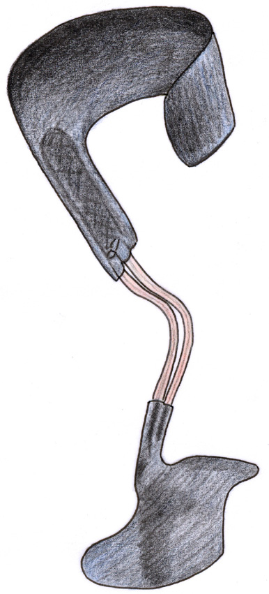 Orthonova | To help people